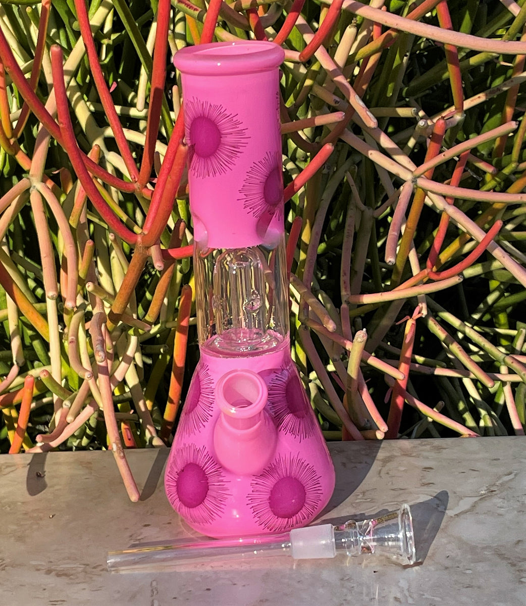 8" Glass Beaker Bong Dome Perc Ice Catchers Slide in stem with Bowl